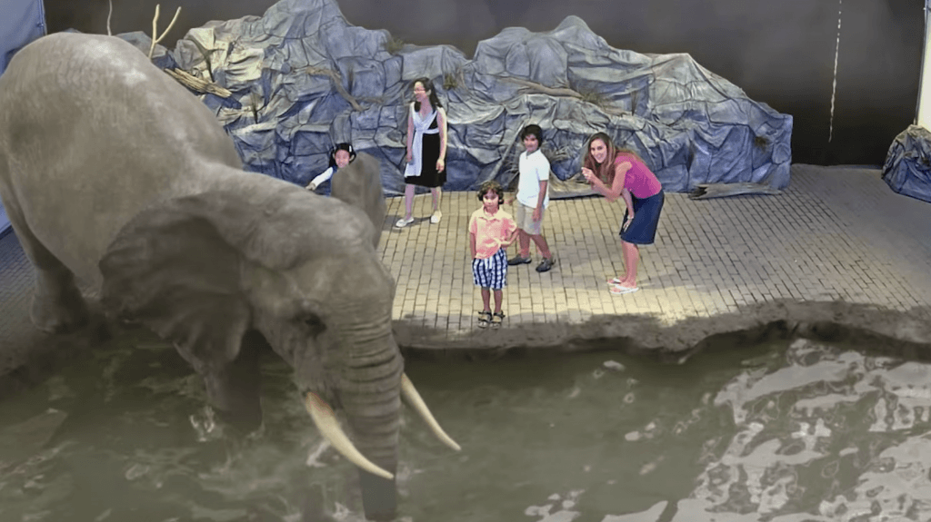 Will VR & AR Replace Animals at the Zoo? | vStream Digital Media